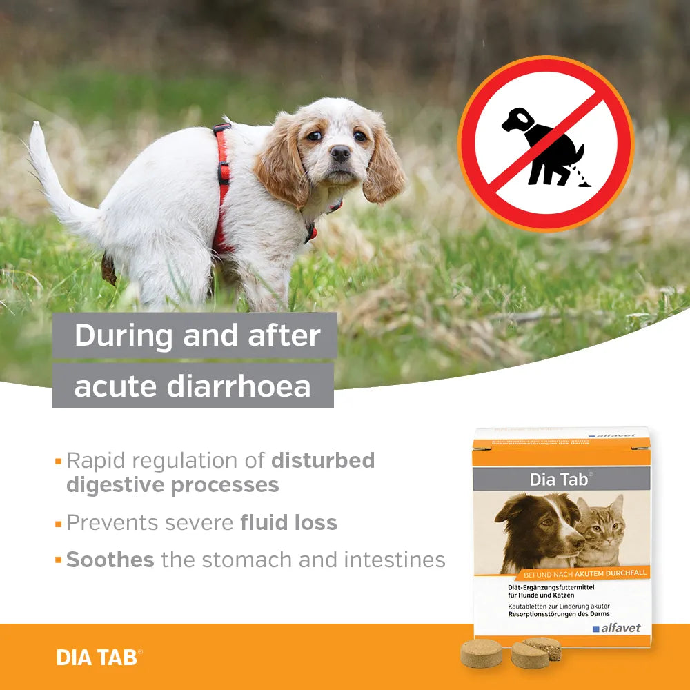 Dia Tab® 貓狗止瀉應急片 6 x 5.5g – Jumpy Mama